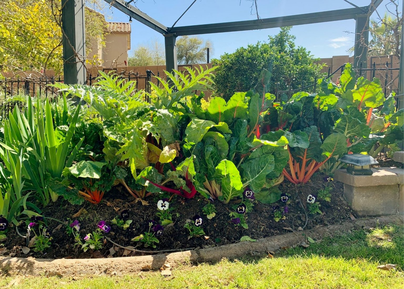 How the Agriscaping Movement Is Changing the Landscape with Sustainable Gardening | Agriscaping