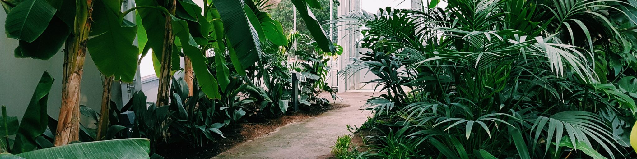 Microclimates Relationship to Plants | Agriscaping