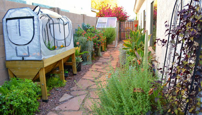 What Are Microclimates in the Desert Southwest? | Agriscaping